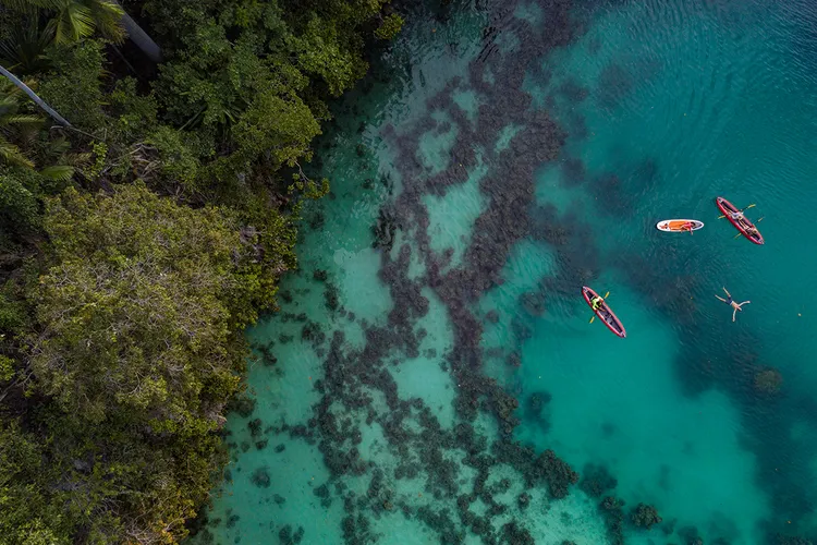 SEQUOIA yacht for charter (Bugis, 26.1m, 2017)
